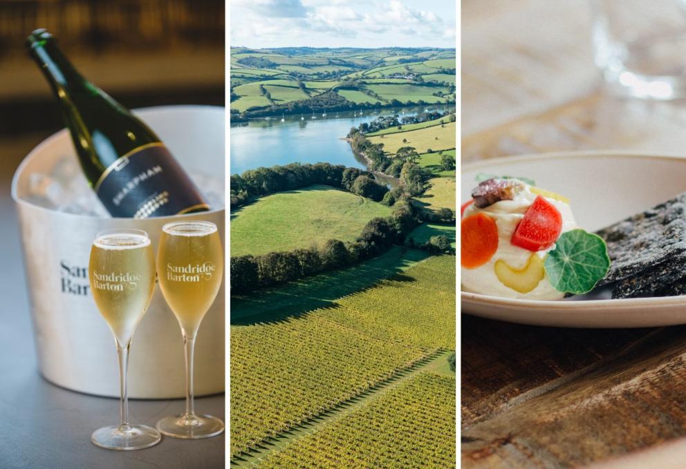 Devon's best vineyards and wineries